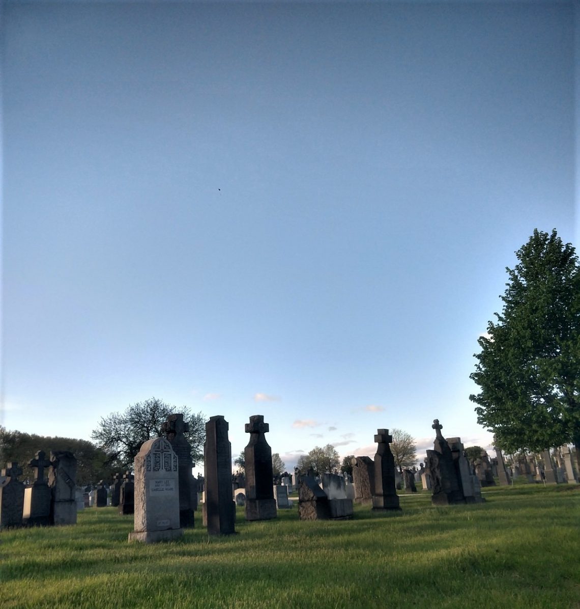 Calvary Cemetery, Queens, New York (Part 1)